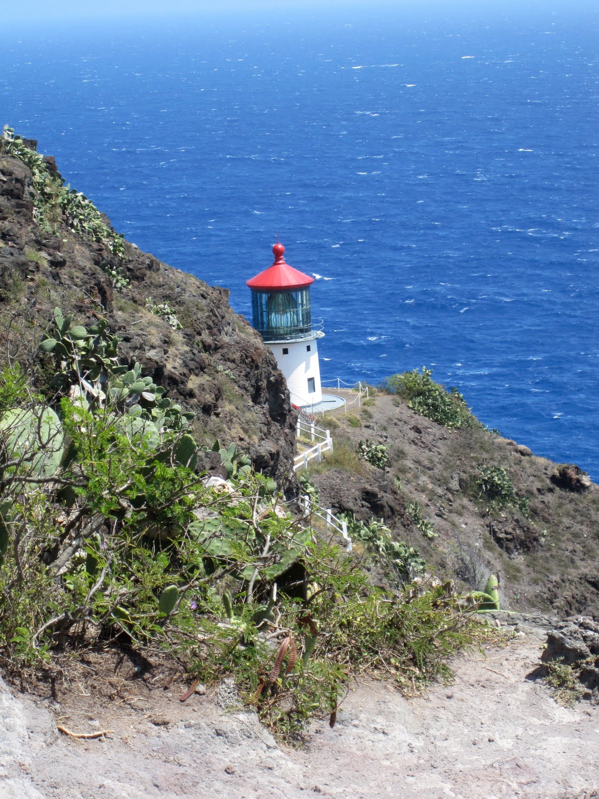 Hiking the Makapu`u Point Lighthouse Trail With My Big Explorer ...