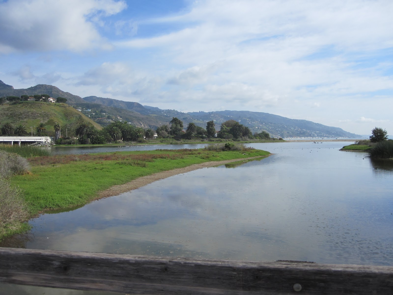 Birdwatching With Kids at Malibu Lagoon State Beach - GoExploreNature.com