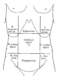 Funzione sessuale nel maschio e nella femmina
