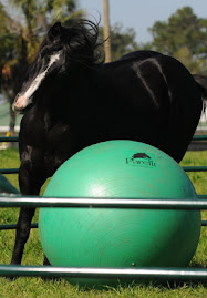 Trakehner & Horsemanship: Uffington White Horse