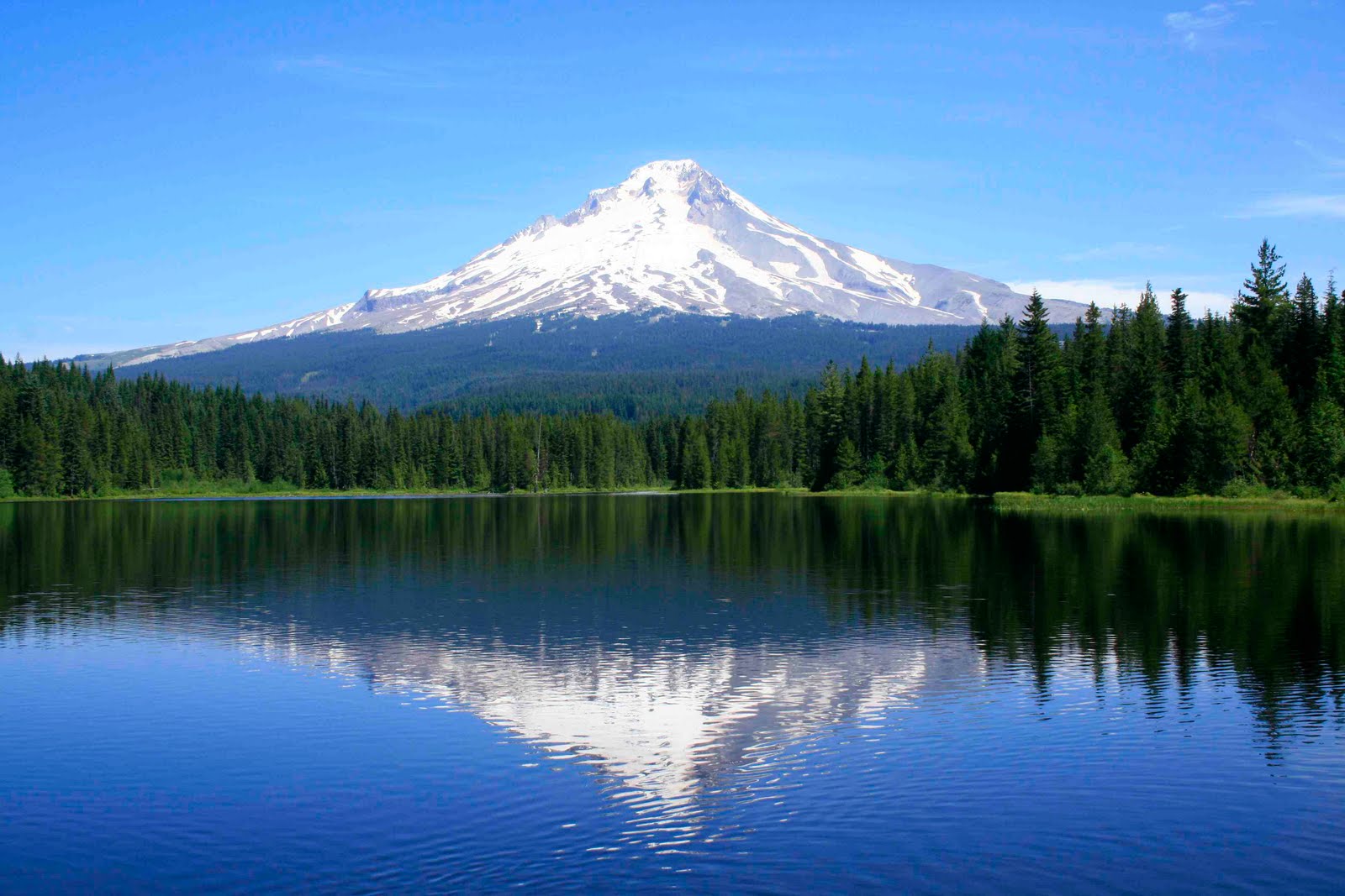 Travels with Dakota and Zoe (and their spirit dog, Phaedra): Wind ...