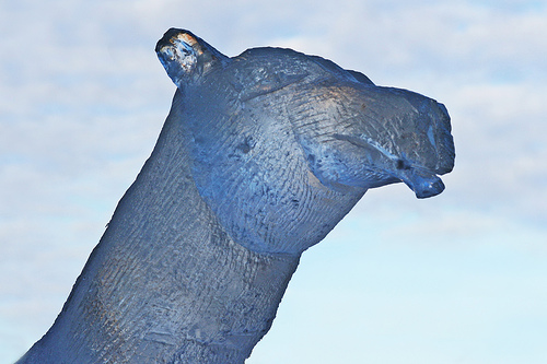 Linda Grimes: Visiting Reality : Have An Ice Hump Day!