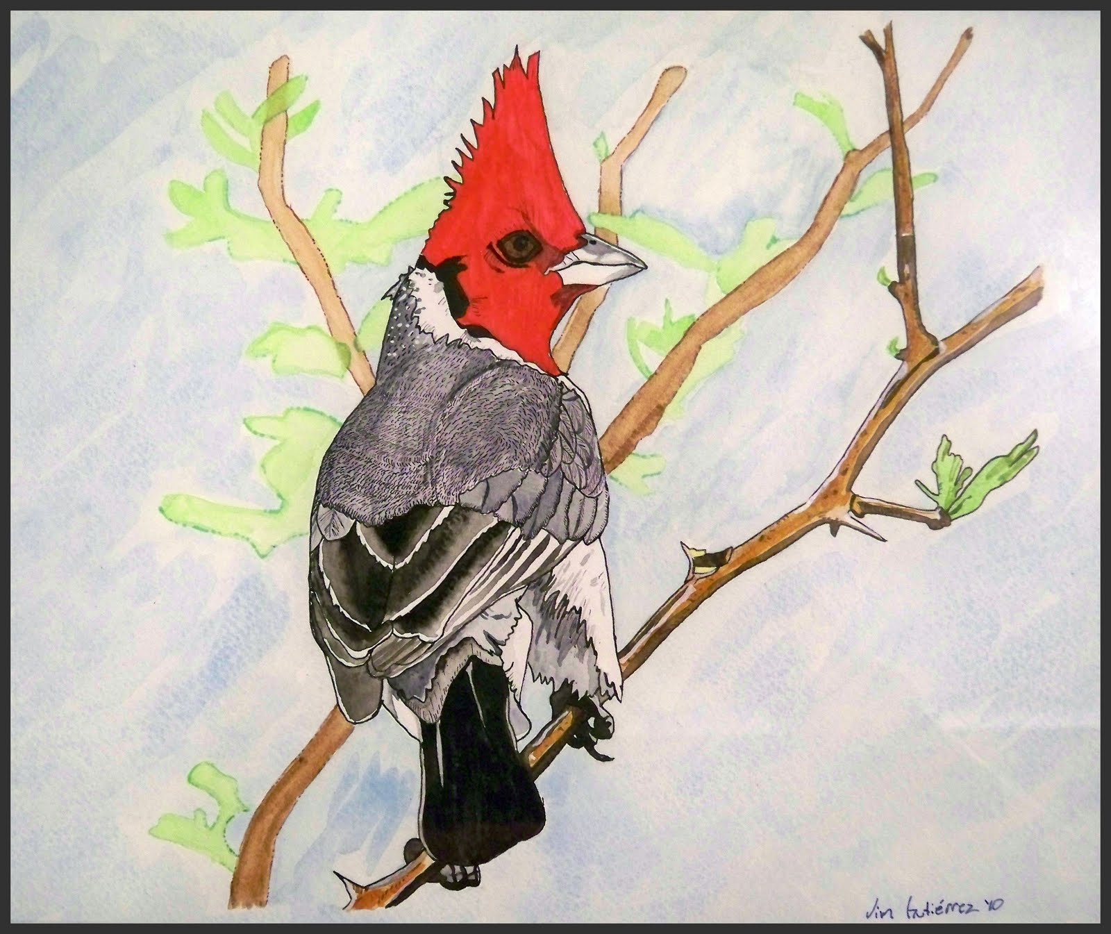 We Can Art: Red Crested Cardinal-Mixed Media