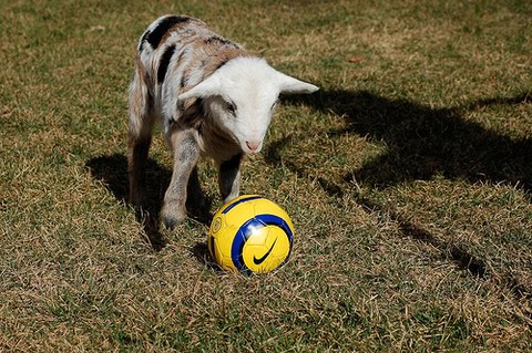 Football (page 2588) - Backstage