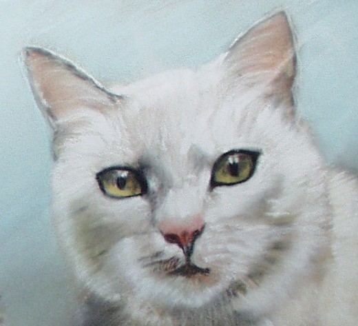 Experientia Docet: Poem of the Day - Pangur Ban