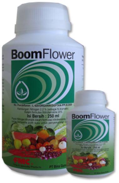 BOOM FLOWER