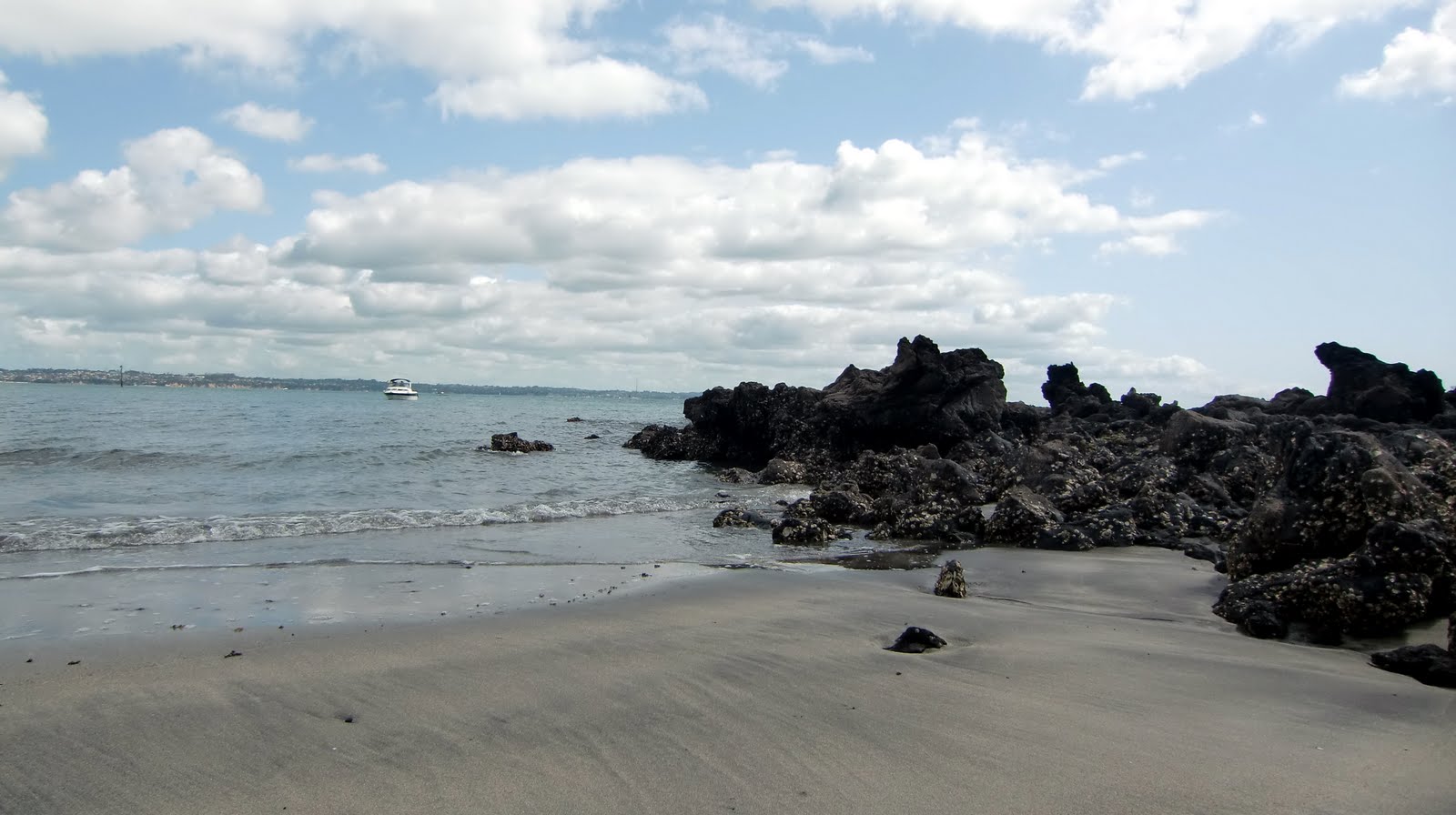 Study Abroad - New Zealand: Rangitoto Island