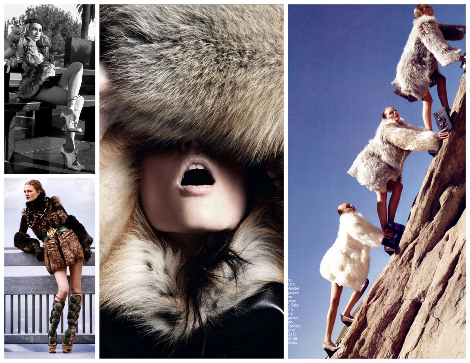 The Fashion Electric: Inspiration: Fantastic Fur