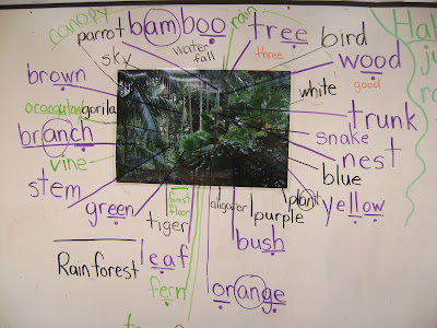 Mrs. Berry's Class: PWIM: Picture Word Inductive Model