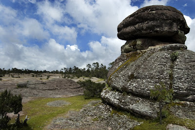 MEXIQUILLO: MEXIQUILLO: UN LUGAR MAGICO