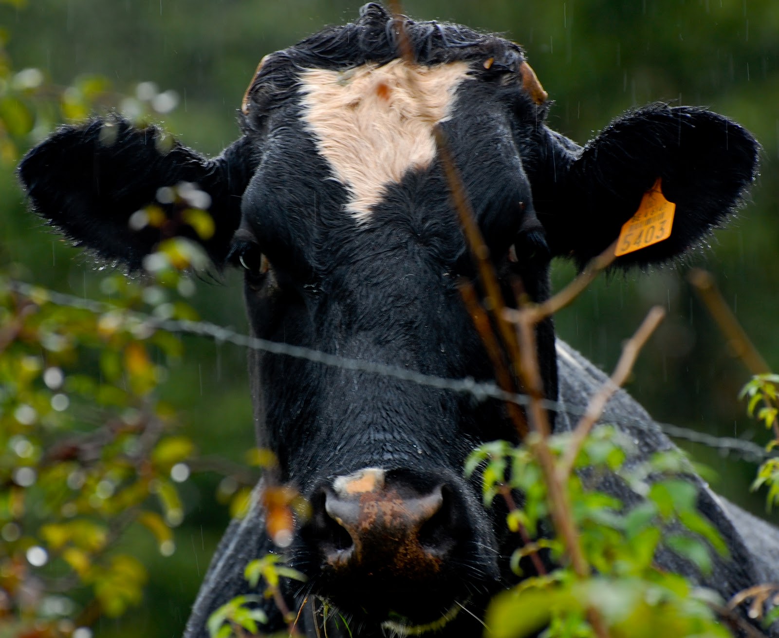 Tom Ruben Photography