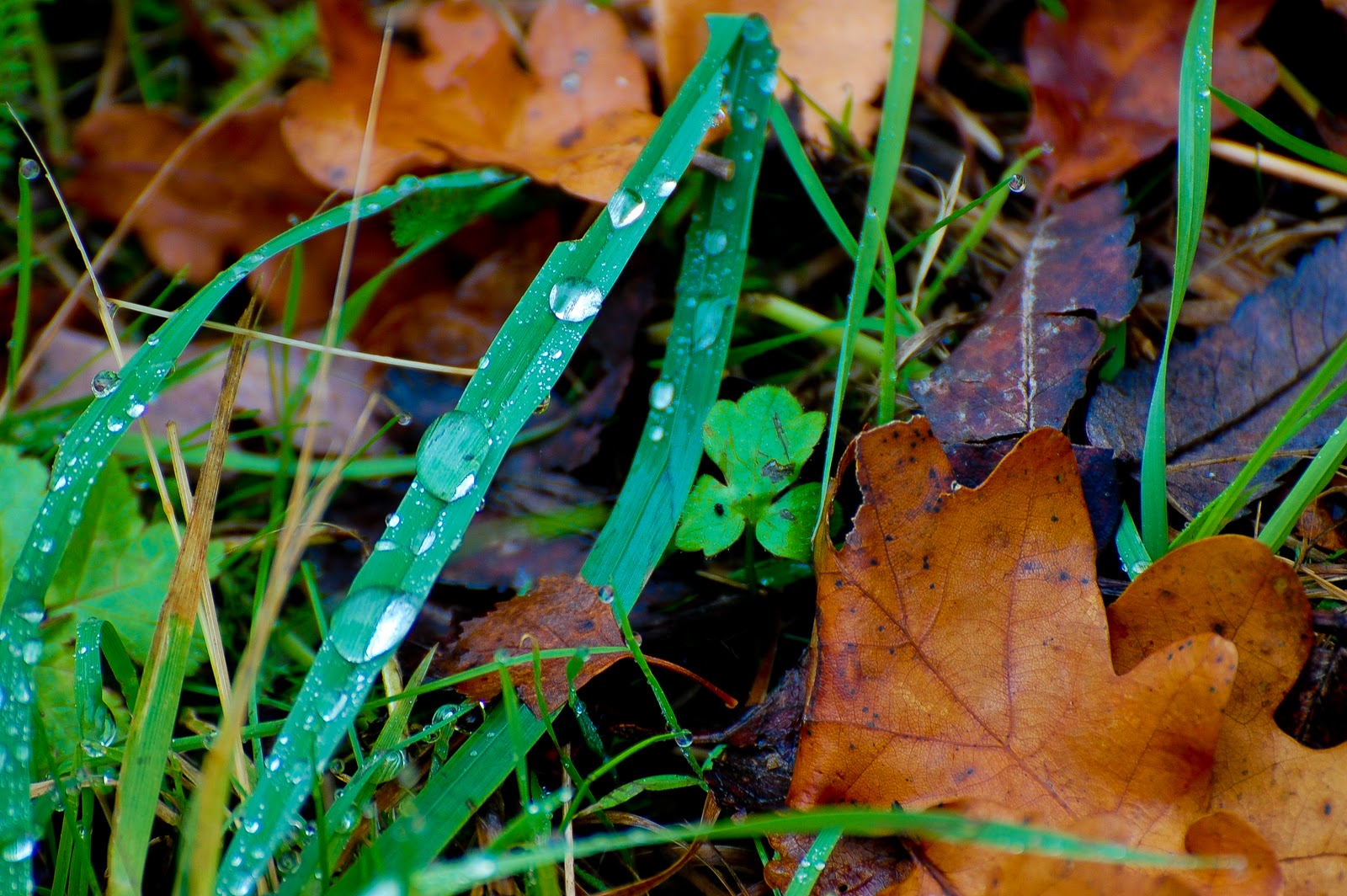 Tom Ruben Photography