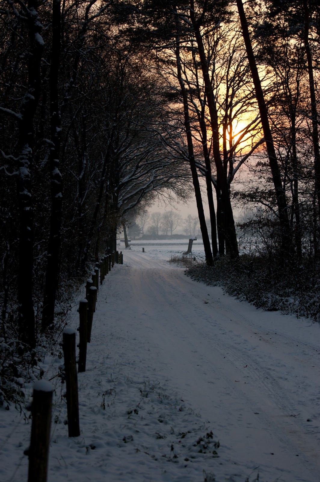 Tom Ruben Photography