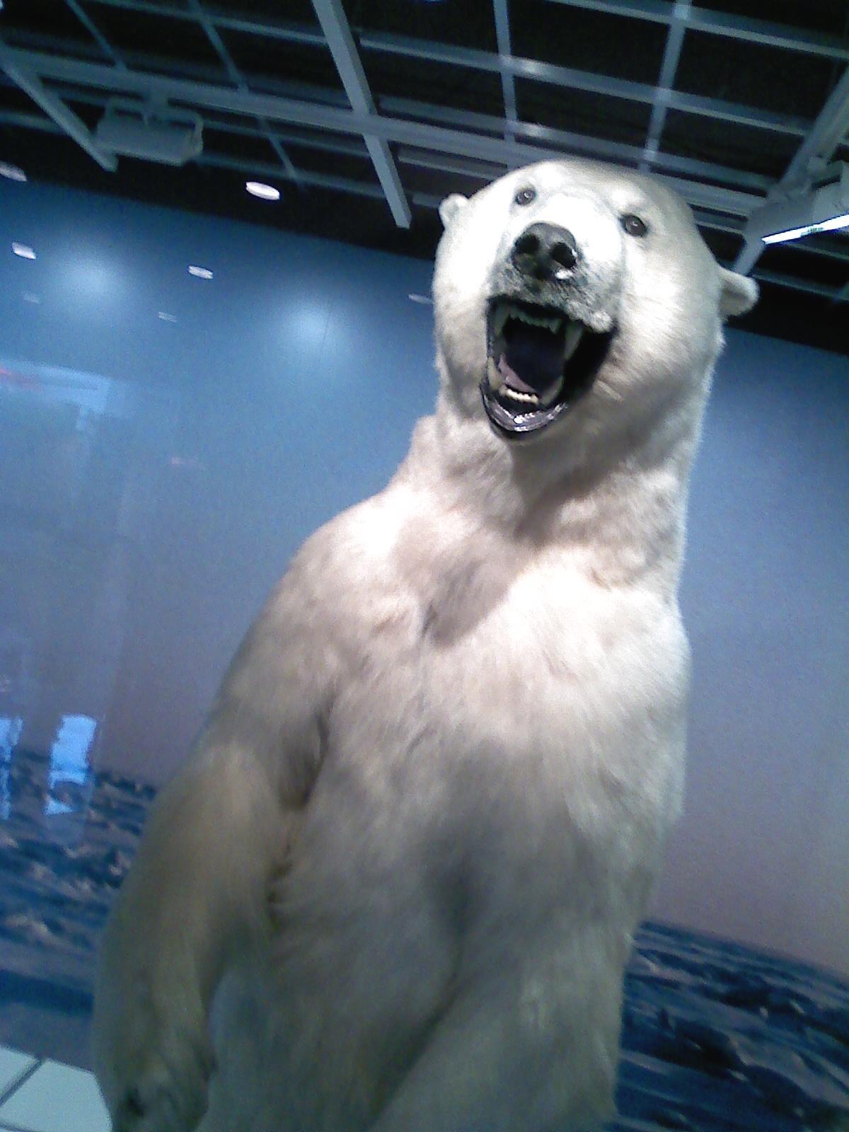 The Adventures of Aimster: Aimster Becomes an Investigative Coroner