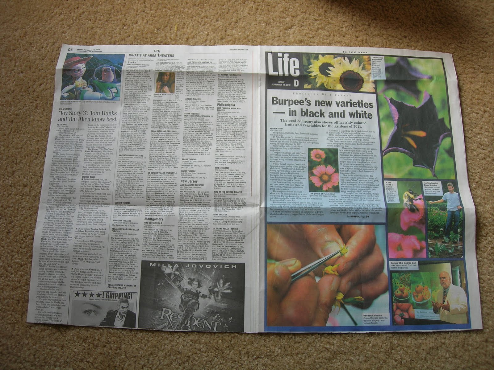 Chocolate Covered Bridges: Repurposing Newspaper