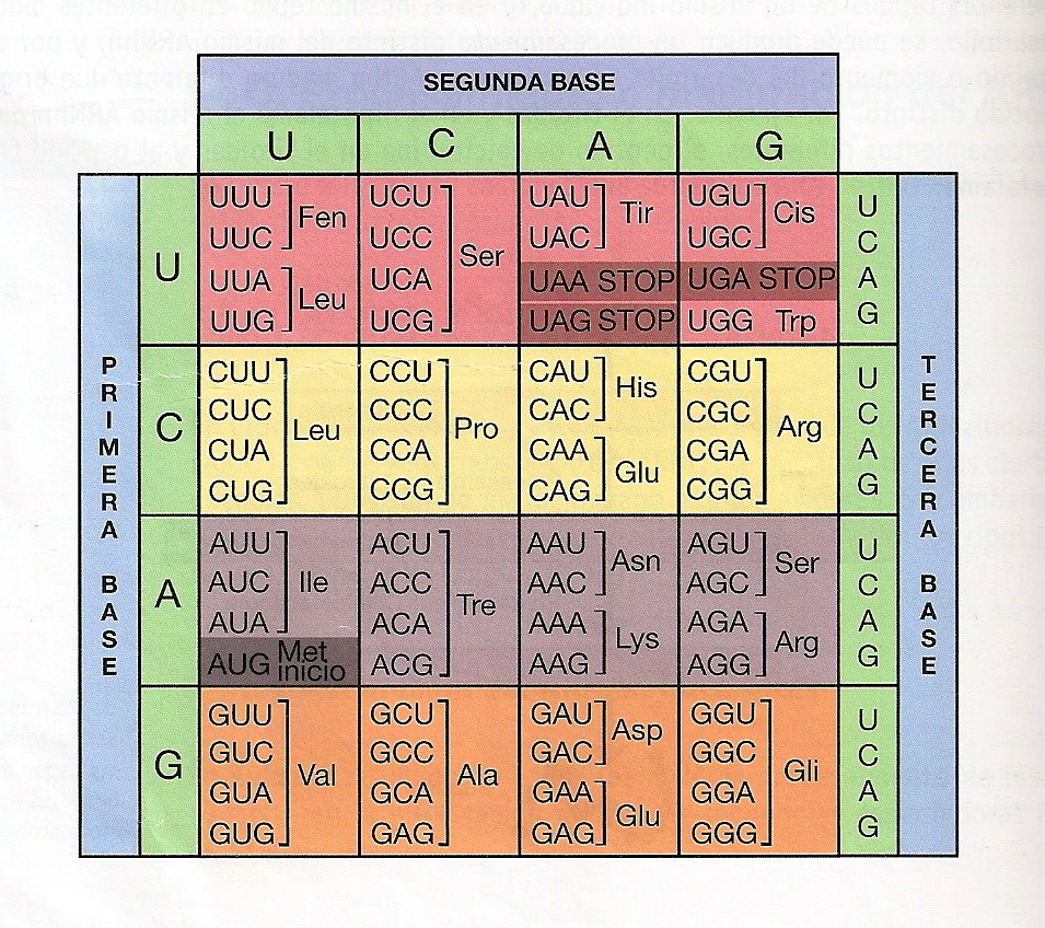 IES BACHILLERATO BIOLOGÍA