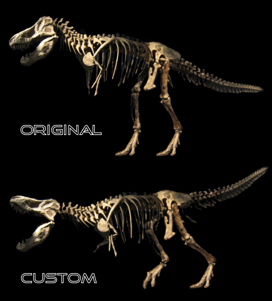 ART Evolved: Life's Time Capsule: Reconstruction Tips: Make your own ...