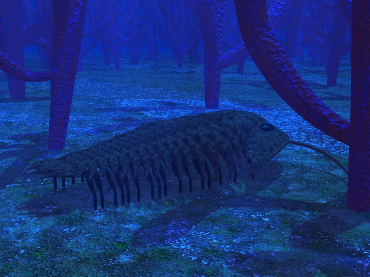 ART Evolved: Life's Time Capsule: Trilobites in Art