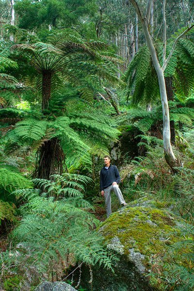 Mount Cole State Forest | Goldfields Image Makers