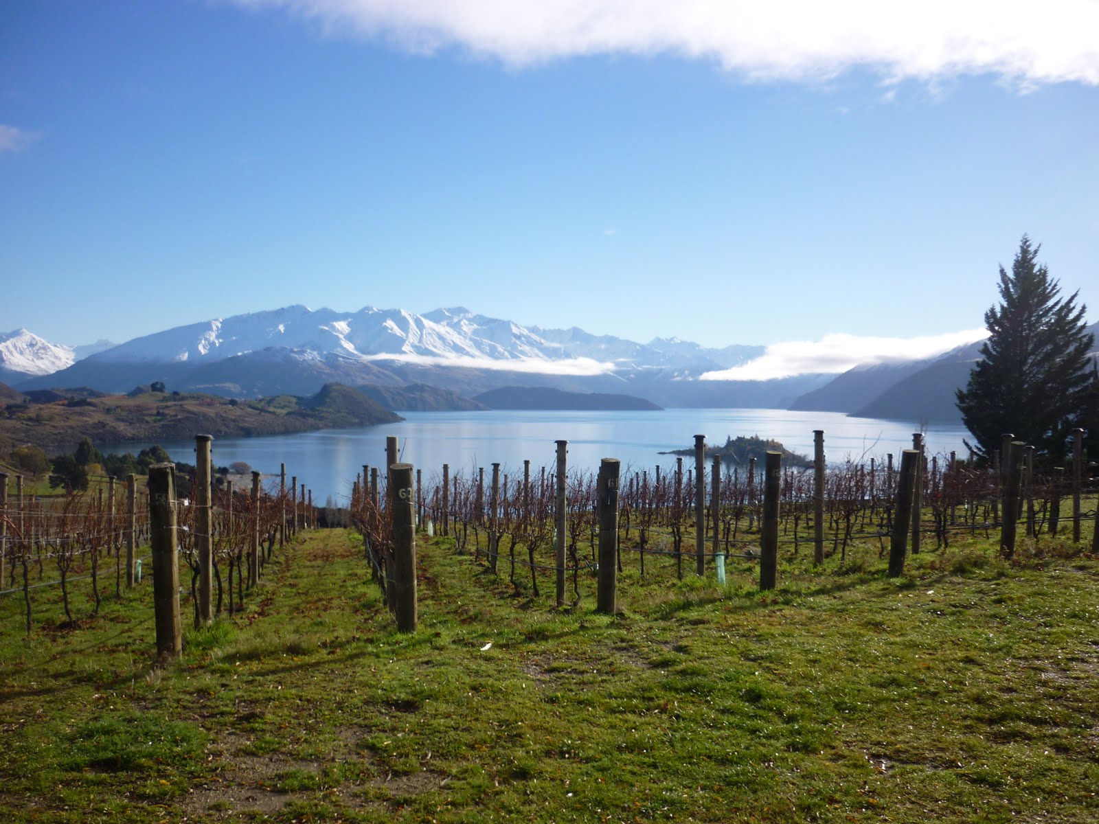 Douglas Wisor: Central Otago