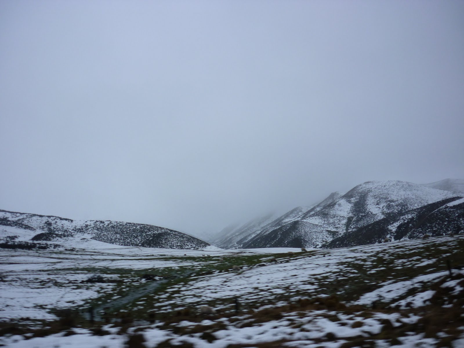 Douglas Wisor: Central Otago