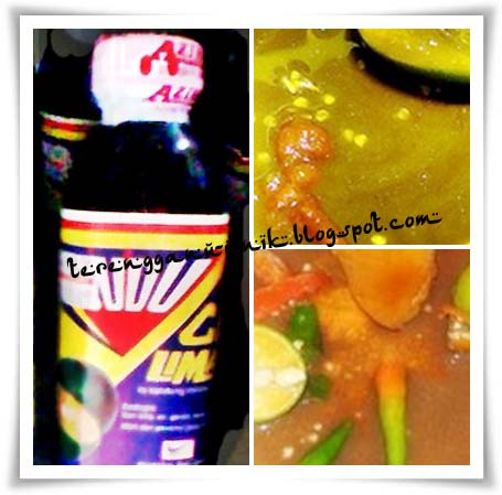 TERENGGANU UNIK : :: Ceritera 22 : Budu...Kegemaranku