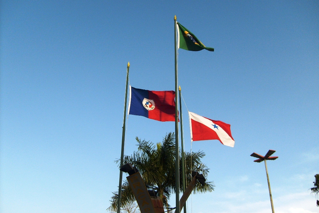 Suí do Açaizeiro: A História da Bandeira do Pará