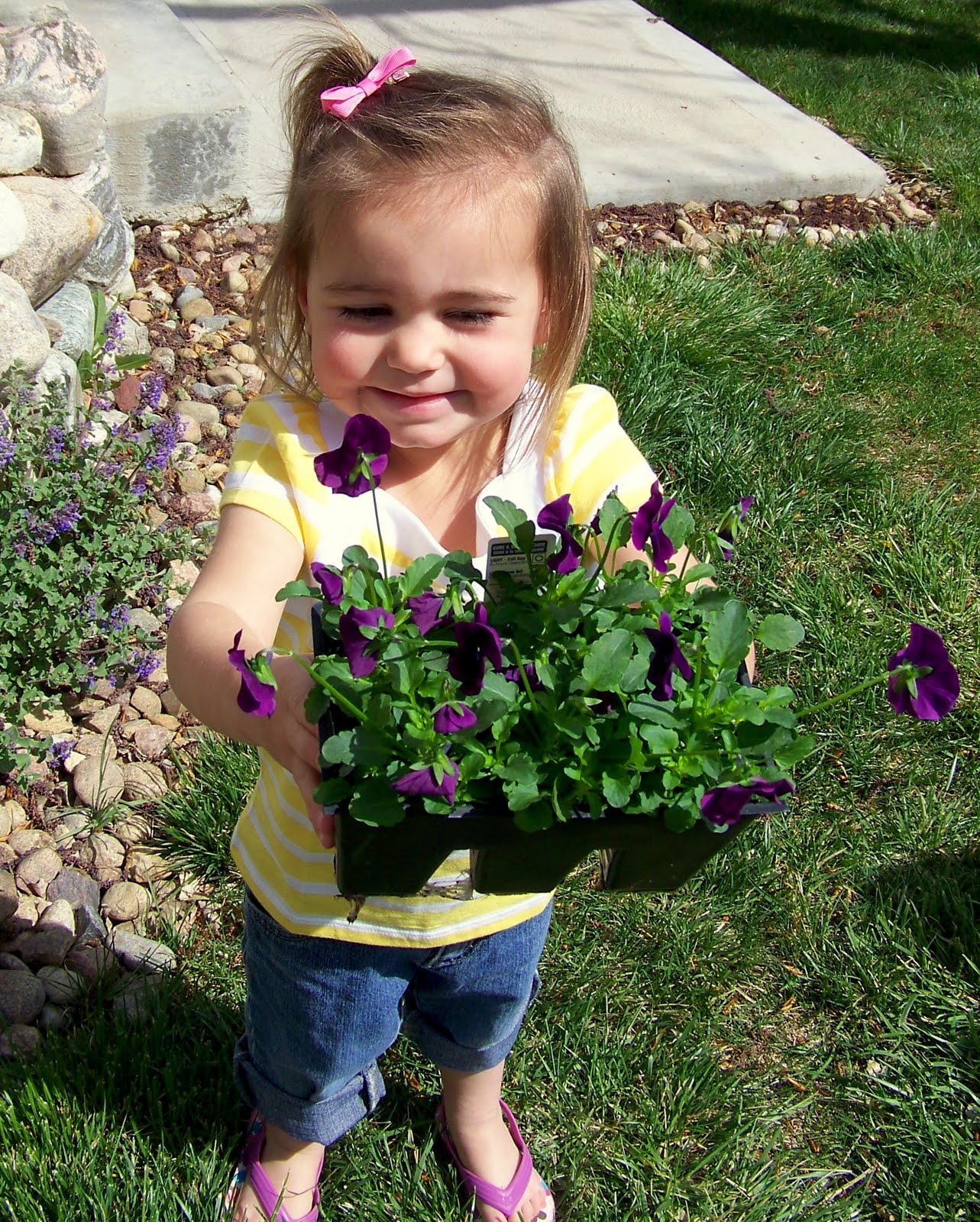 Toddler Boredom Busters: Earth Day Activity #1 - Planting Flowers