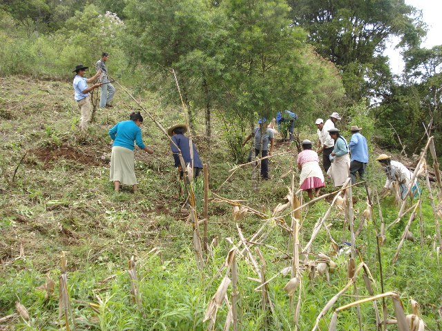 Mi Finca Integral Sostenible: PRACTICAS AGROECOLOGICAS - Sistemas Agro ...