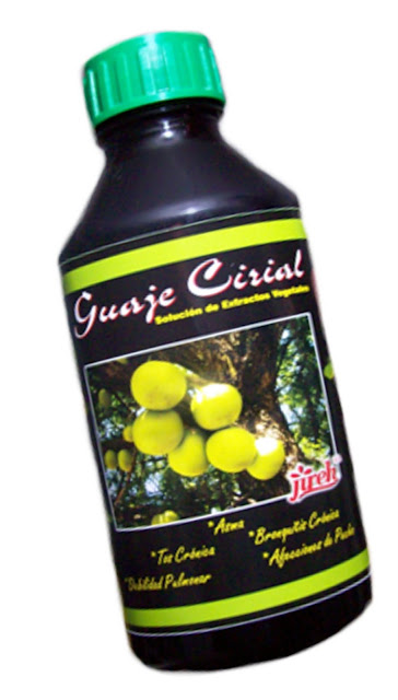 CUATECOMATE TÓNICO PULMONAR YAHWEH: GUAJE CIRIAL O CUATECOMATE