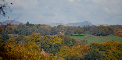The Plashing Vole: Wetley Rocks!