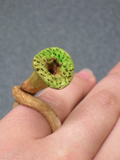 Metal Musing: Ring A Day