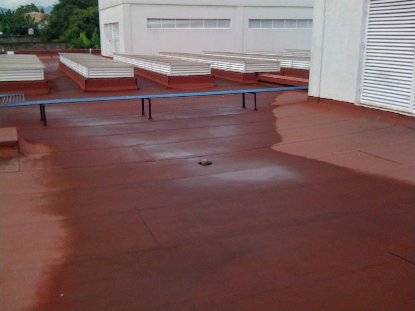 construcción:acabados: BAJANTES, GUARNICIONES Y BANQUETAS, JARDINES ...