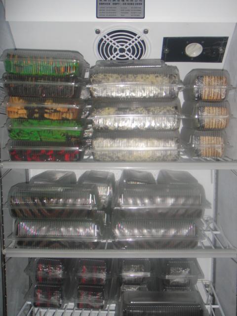 Kek Lapis Aunty Lina Bakery