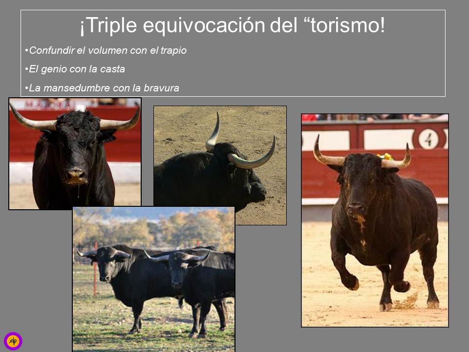 El Blog de la BODEGA EL TOREO: enero 2011