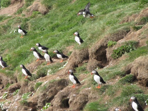 #Recipes: Food, Fun, Friends and Backpacking across the World