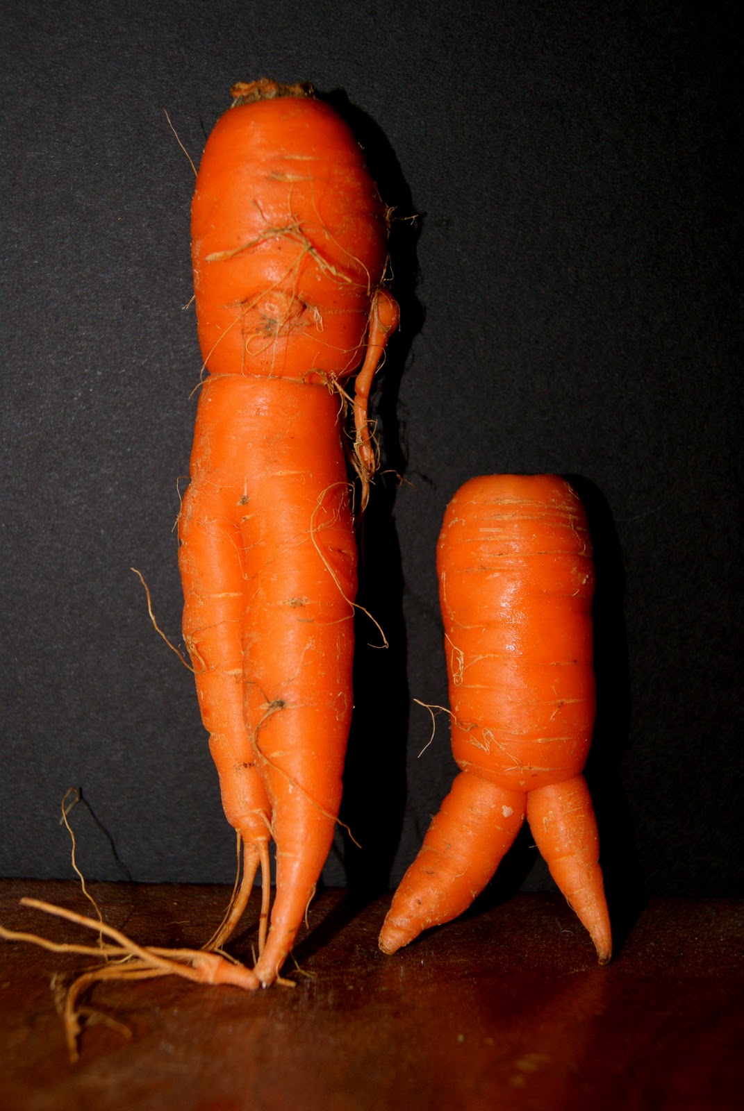 Ordinary Enchantment: Human Carrots