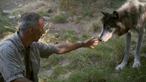432 Magazine: HISTORY CHANNEL: ENTRE HOMBRES LOBOS Y TERRORES NOCTURNOS