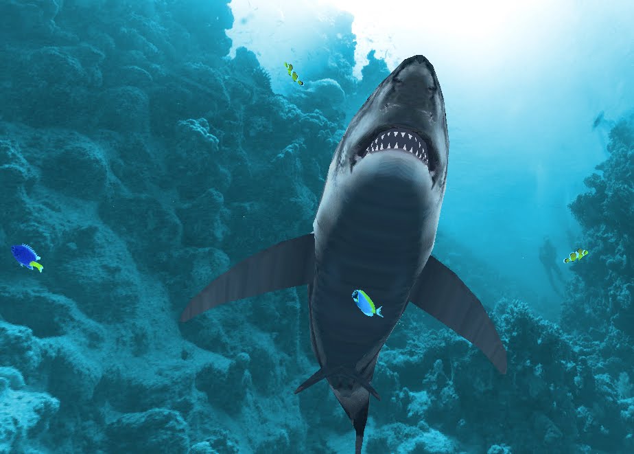 The Internet Surfer: The Papervision 3D Shark Game