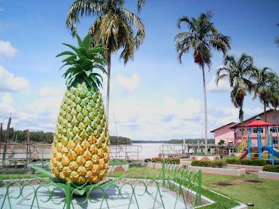 my Sarawak (1st Ed.): Sights of Sarikei