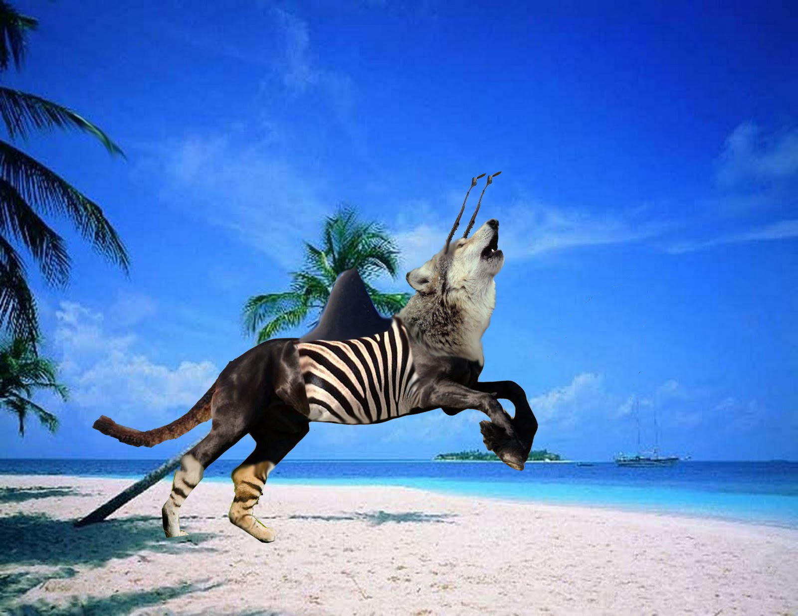 Katie's Blog: Crazy Combos Project