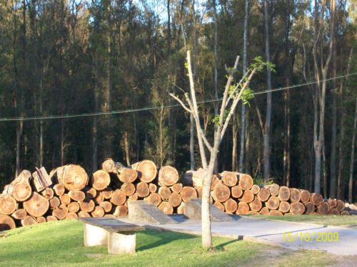 CAMPAMENTO ESCOLAR - RAIGÓN - SAN JOSÉ