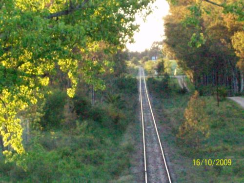 CAMPAMENTO ESCOLAR - RAIGÓN - SAN JOSÉ