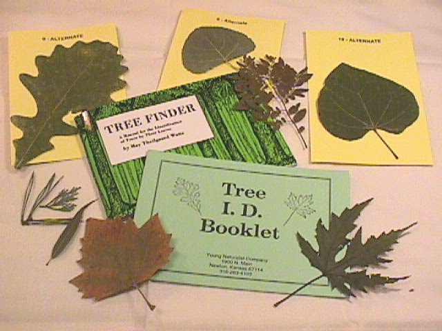 Honors Biology @ Lawrenceville: Tree ID