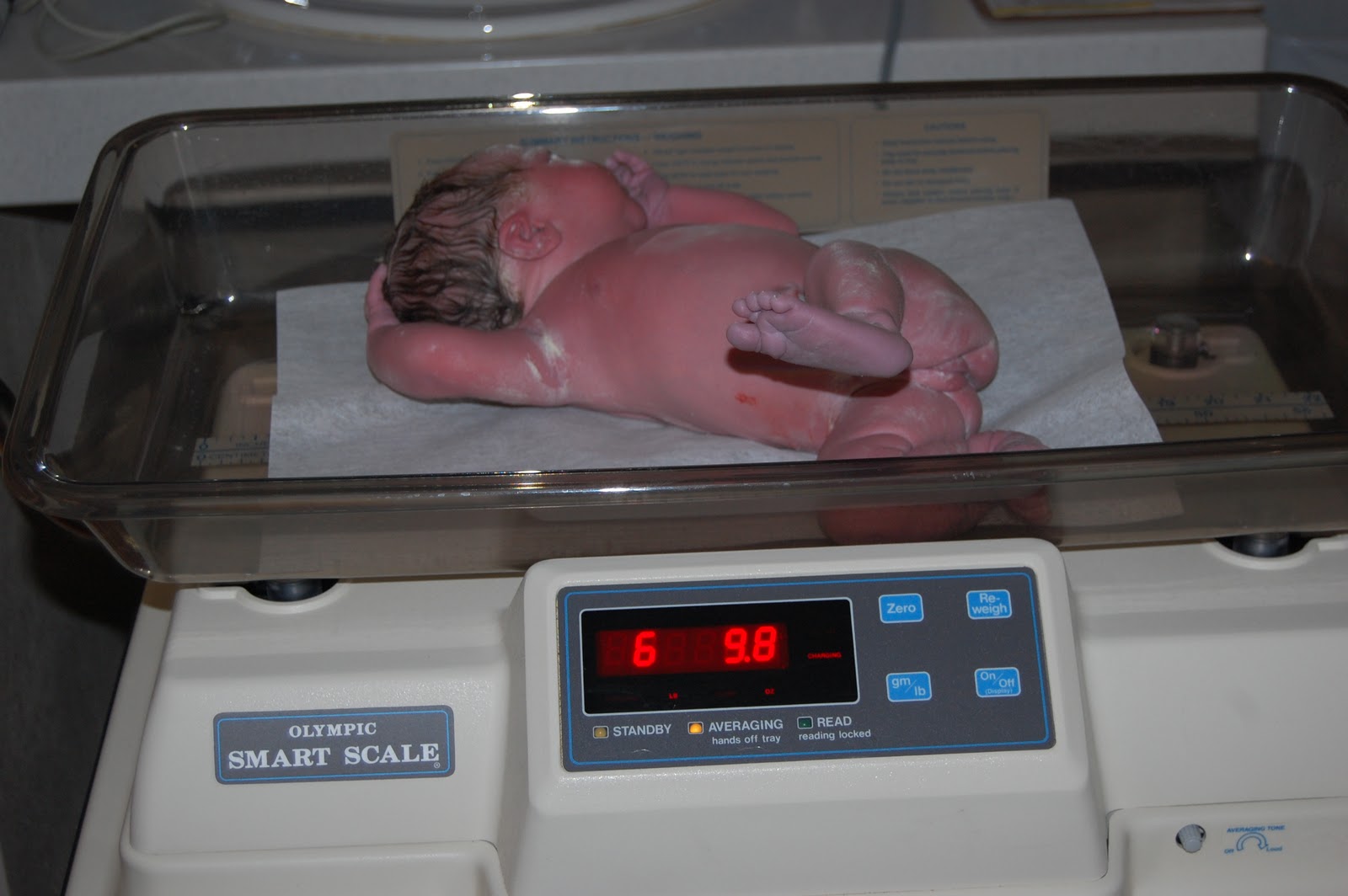 Life in the Peanutbutter Lane: September 2010