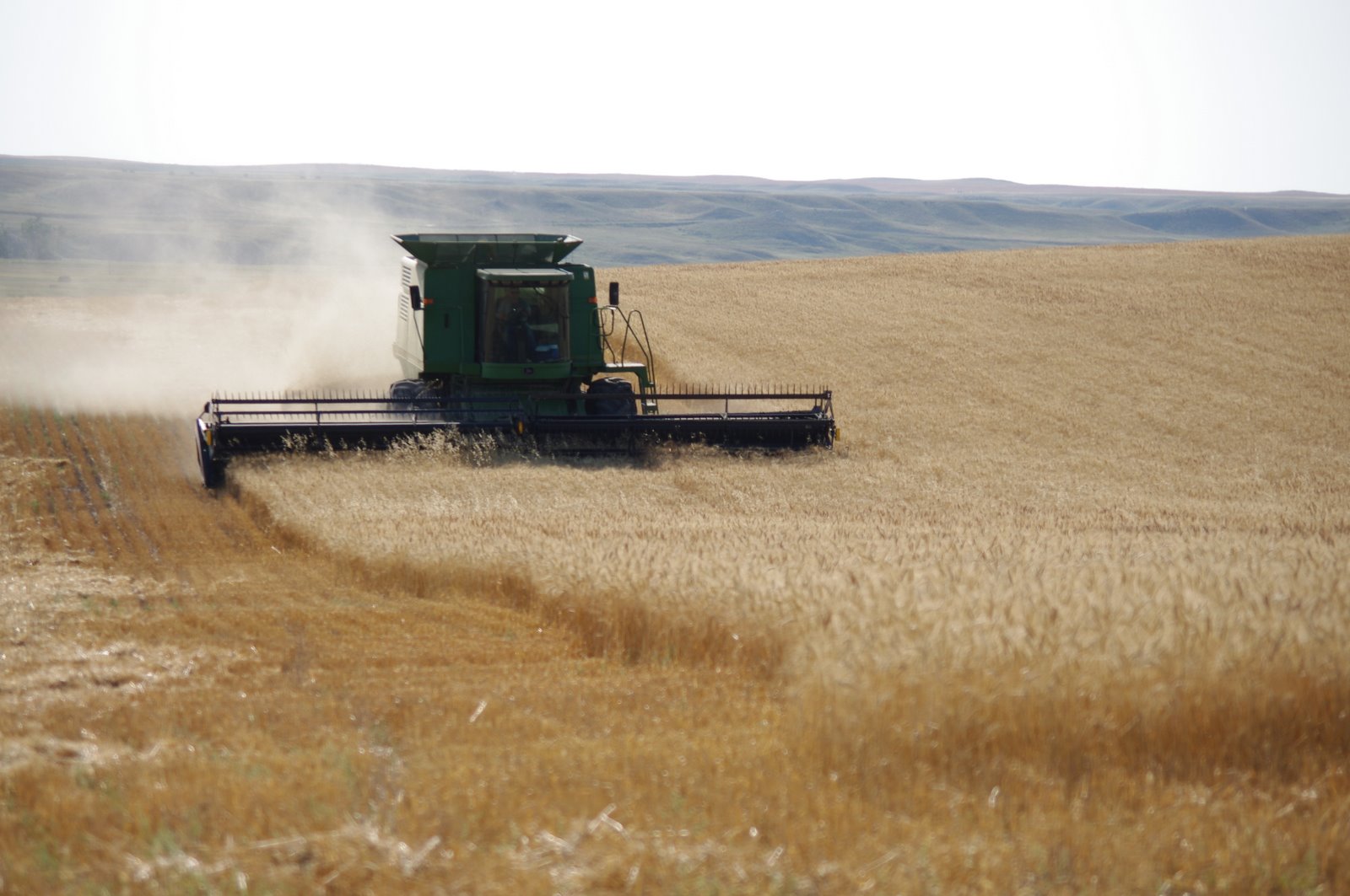 Prairie Potholes: Harvest Scenes Part II