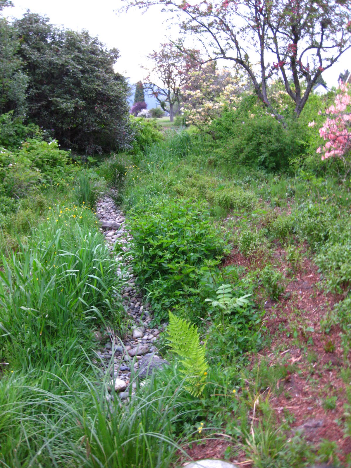 The Bicycle-Gardening Chronicles...: Garden Swale