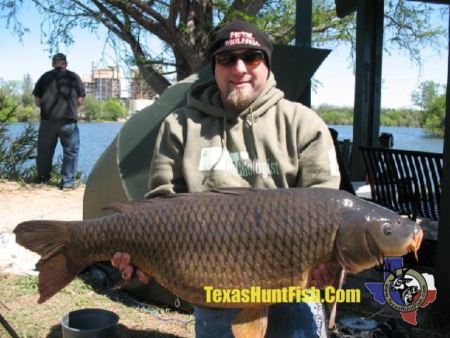 Texas Cryptid Hunter: Austin's Giant Carp Just Another Fish Story