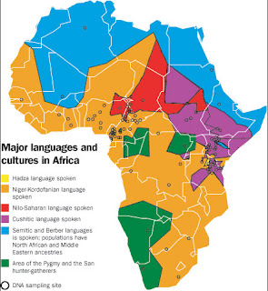 BIOL1020 Genetics & Evolution Blog: African Genetic Diversity Revealed