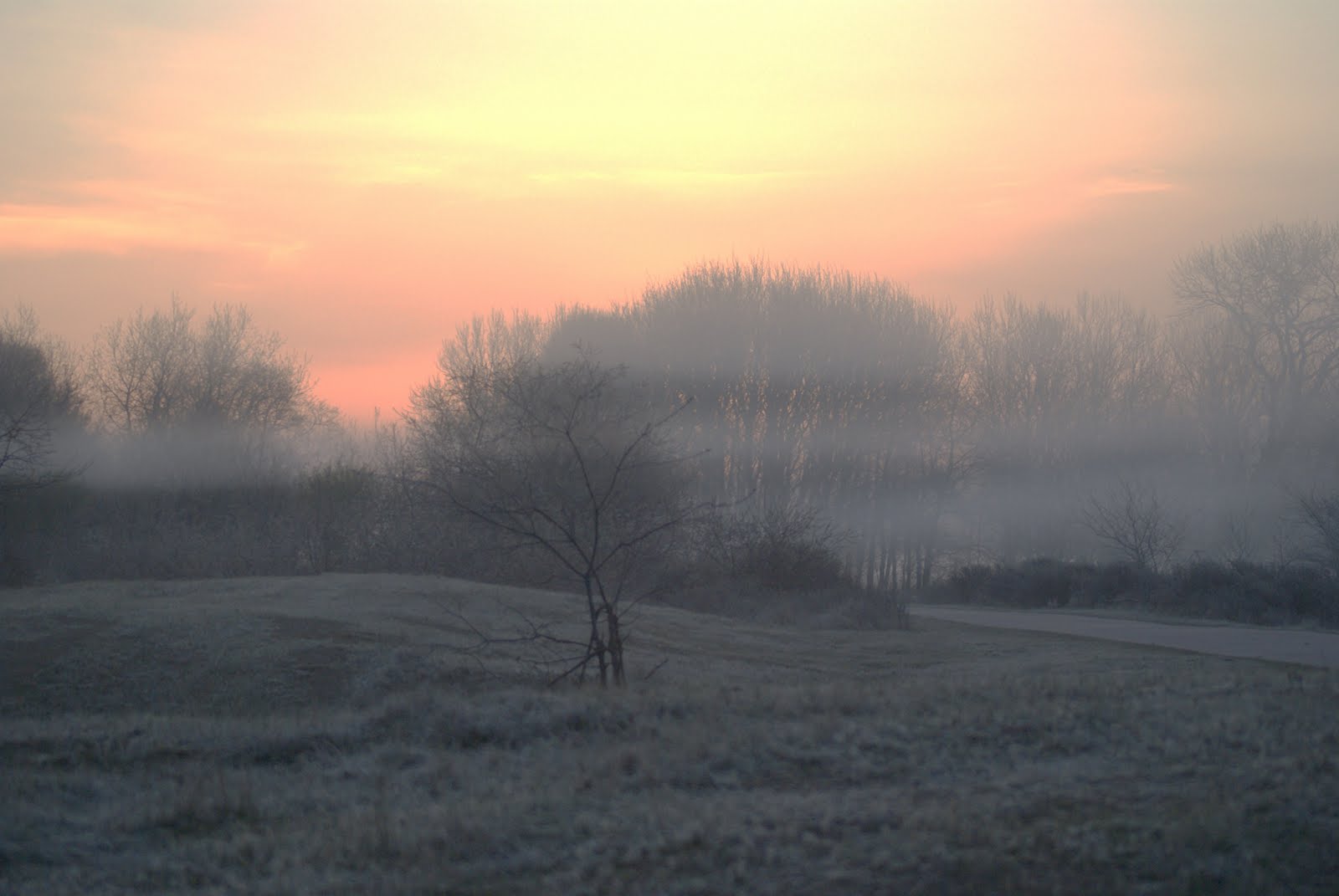 AMSTERDAMSE WATERLEIDINGDUINEN AWD: Natuur in de Mist